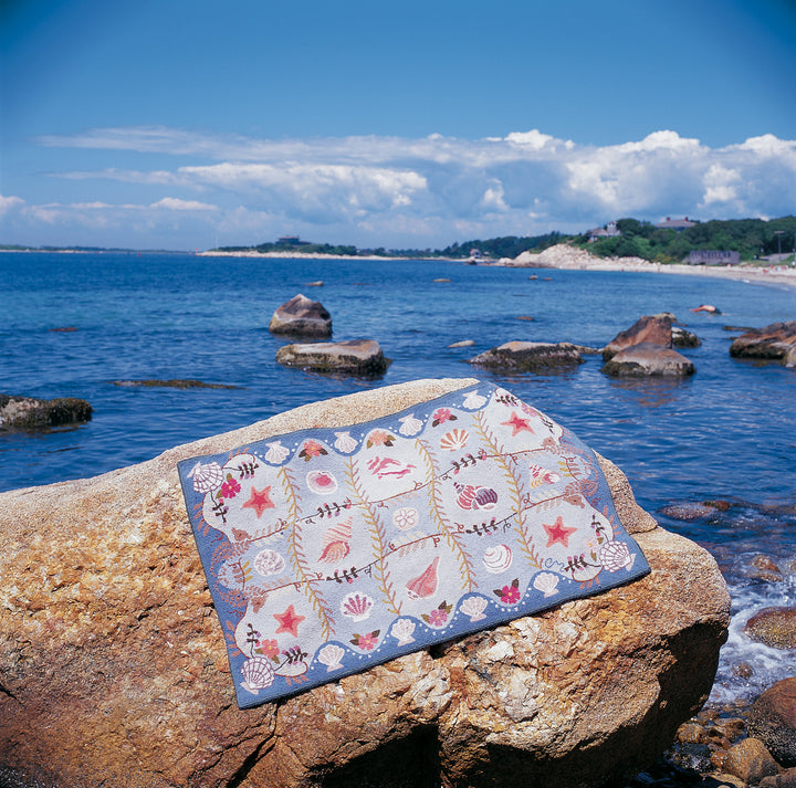 Seashells – Claire Murray